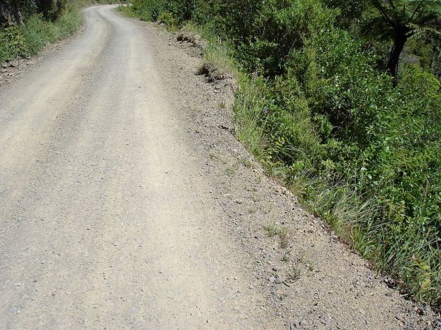 The Motu Road – Eastern Bay of Plenty | motowalknz