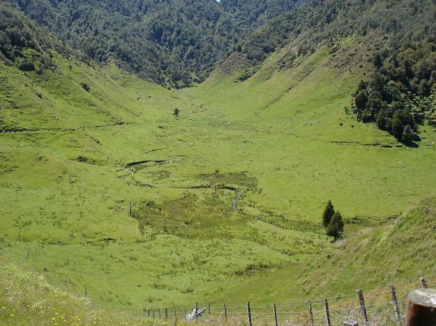 The Motu Road – Eastern Bay of Plenty | motowalknz