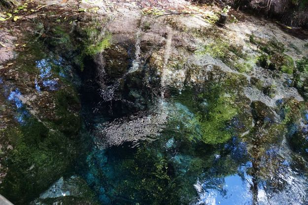 Hamurana Springs | motowalknz