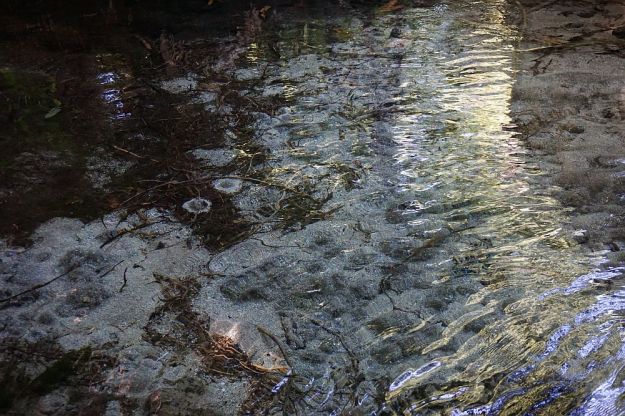 Hamurana Springs | motowalknz