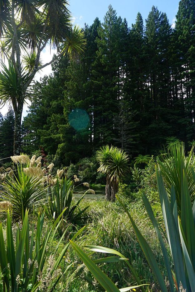 Hamurana Springs | motowalknz