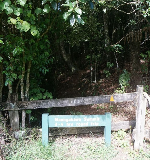 Te Tapui Loop Track – Maungakawa | motowalknz