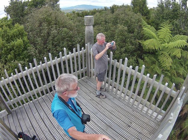 Te Tapui Loop Track – Maungakawa | motowalknz