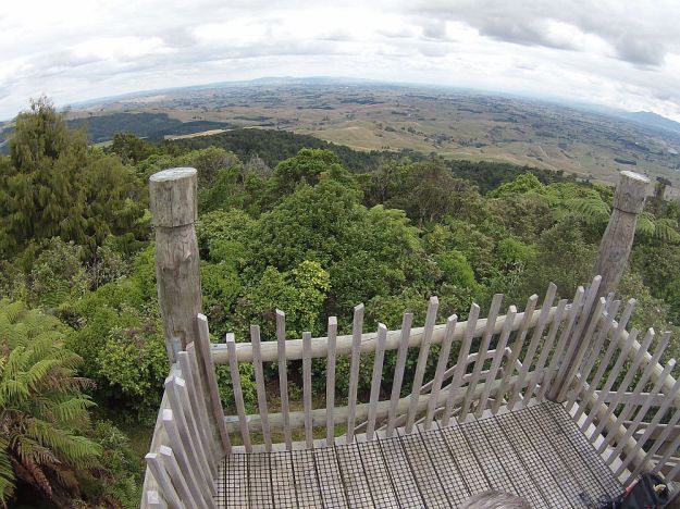 Te Tapui Loop Track – Maungakawa | motowalknz