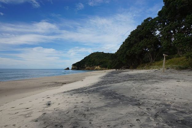 Orokawa Bay and Homunga Bay | motowalknz