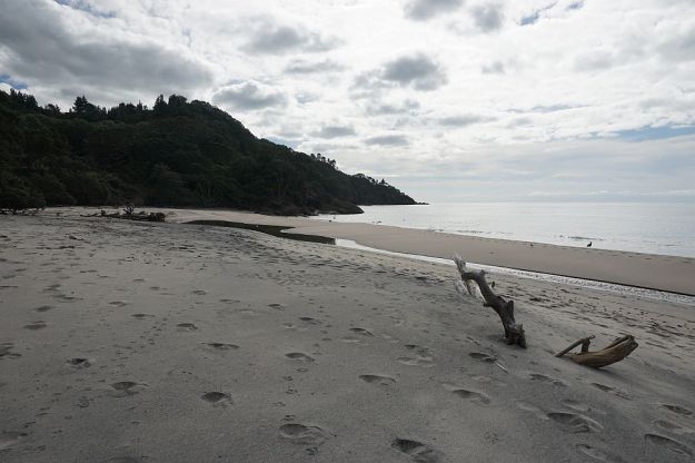 Orokawa Bay and Homunga Bay | motowalknz