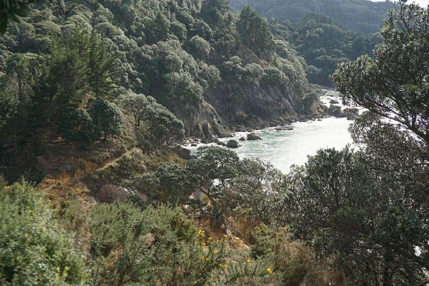 Orokawa Bay and Homunga Bay | motowalknz