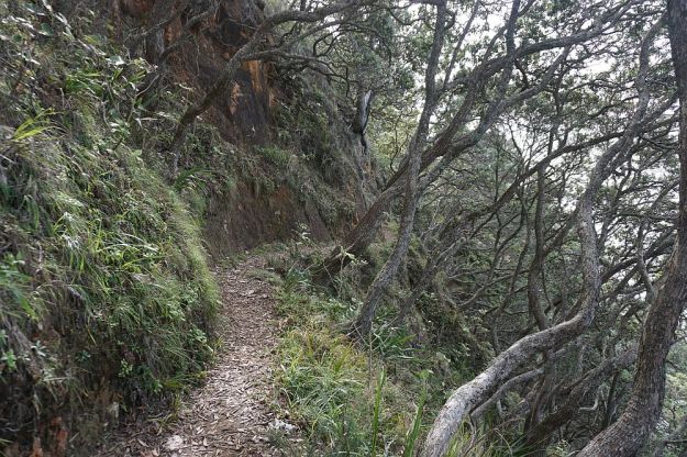 Orokawa Bay and Homunga Bay | motowalknz