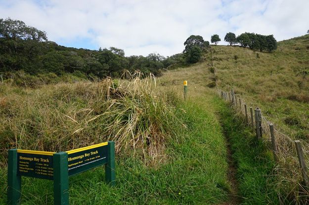 Orokawa Bay and Homunga Bay | motowalknz