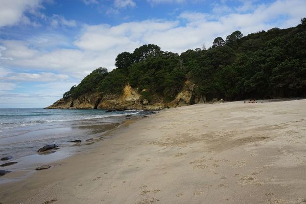 Orokawa Bay and Homunga Bay | motowalknz