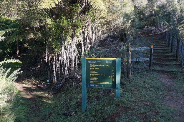 Lindemann Loop Track and Wairoa Shelter | motowalknz