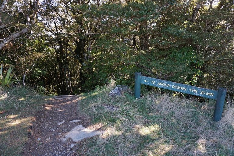 Mt Te Aroha summit | motowalknz