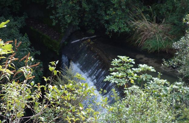 Karaponga Reserve and Dam | motowalknz