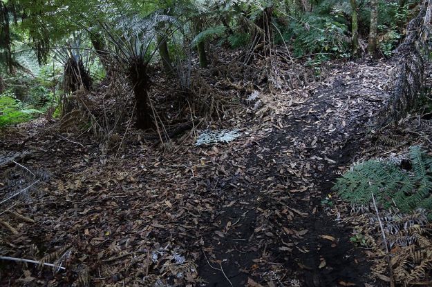 Karaponga Reserve and Dam | motowalknz