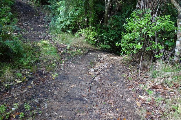 Karaponga Reserve and Dam | motowalknz