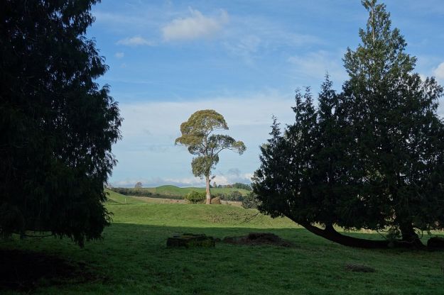 Karaponga Reserve and Dam | motowalknz