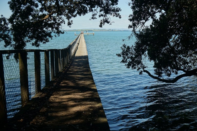 Kauri Point – Ongare Point | motowalknz
