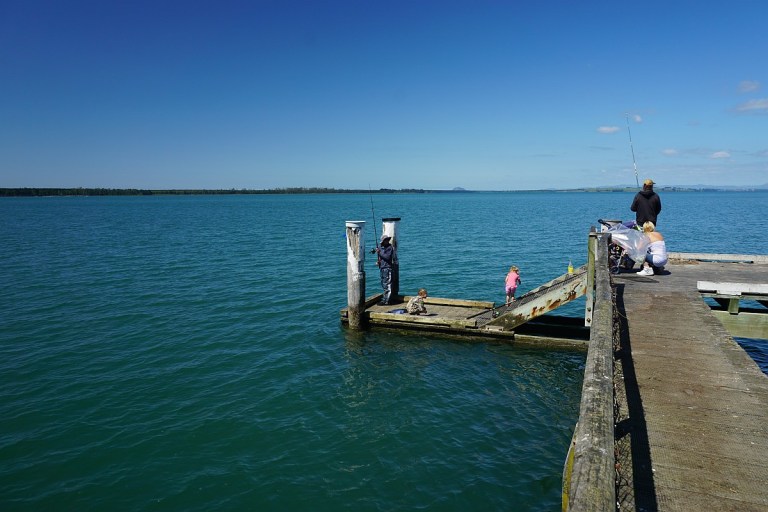 Kauri Point – Ongare Point | motowalknz