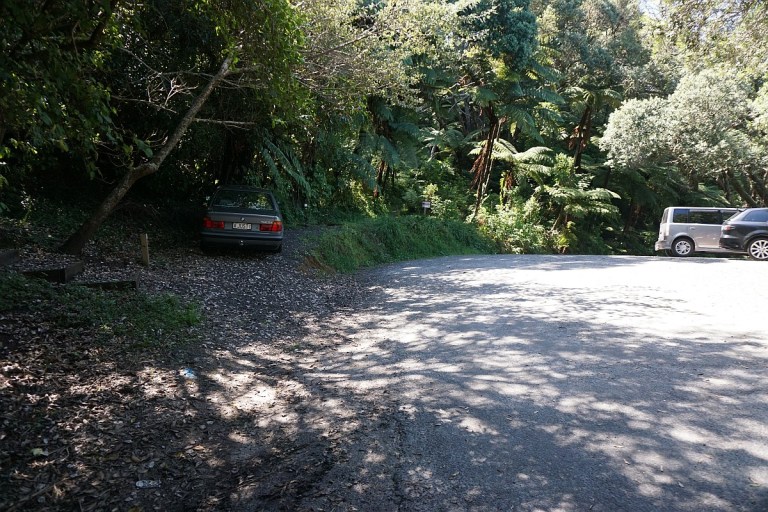 Kauri Point – Ongare Point | motowalknz