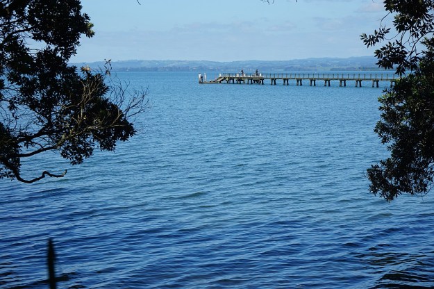 Kauri Point – Ongare Point | motowalknz