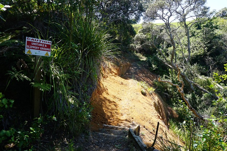 Kauri Point – Ongare Point | motowalknz