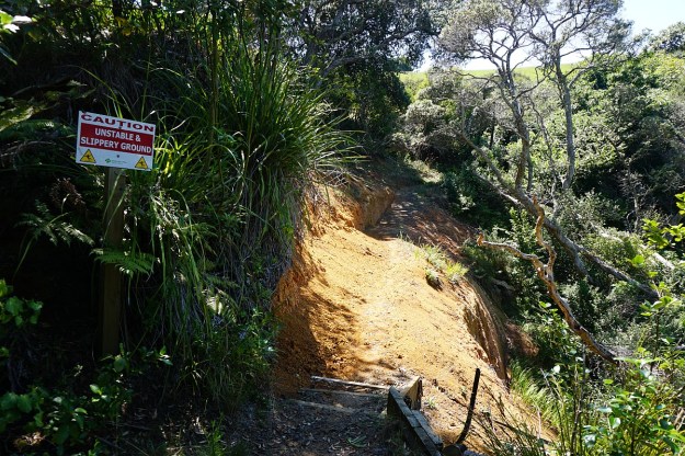 Kauri Point – Ongare Point | motowalknz