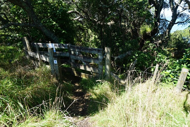 Kauri Point – Ongare Point | motowalknz