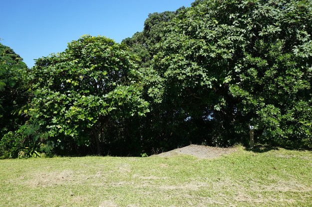 Kauri Point – Ongare Point | motowalknz
