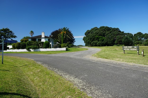 Kauri Point – Ongare Point | motowalknz