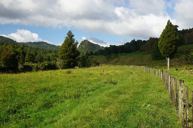 Waitawheta Tramway Track – Franklin Rd to Waitawheta Hut | motowalknz
