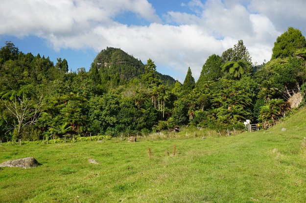 Waitawheta Tramway Track – Franklin Rd to Waitawheta Hut | motowalknz