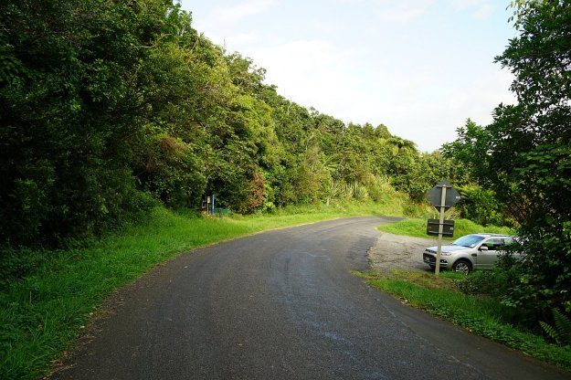 Tui Tracks to Mt Te Aroha Summit | motowalknz