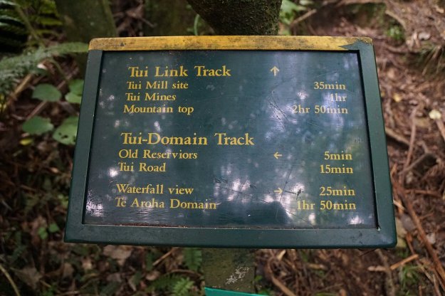 Tui Tracks to Mt Te Aroha Summit | motowalknz