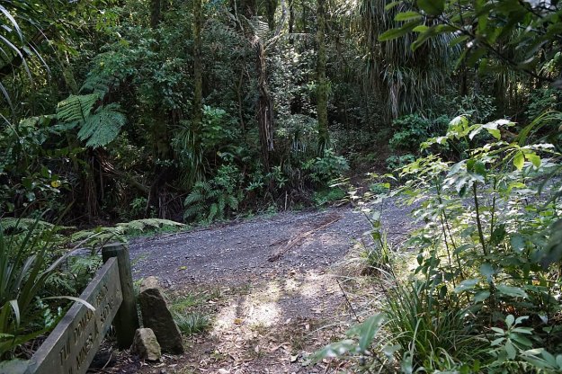 Tui Tracks to Mt Te Aroha Summit | motowalknz