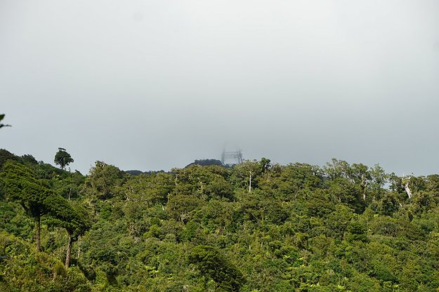 Tui Tracks to Mt Te Aroha Summit | motowalknz