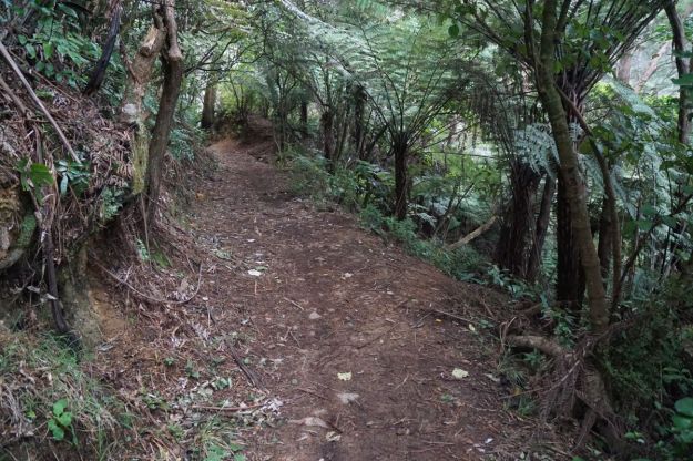 Waiorongomai Pylon Peak Track | motowalknz