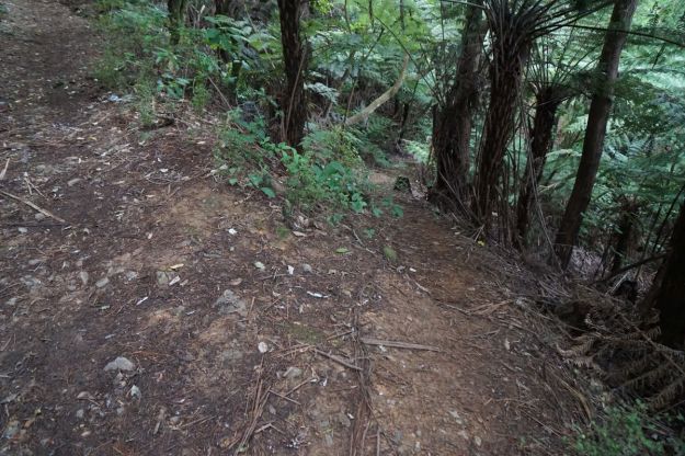 Waiorongomai Pylon Peak Track | motowalknz