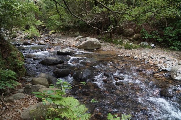 Waiorongomai Pylon Peak Track | motowalknz