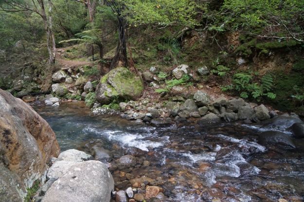 Waiorongomai Pylon Peak Track | motowalknz
