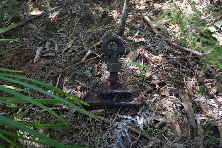 Waiorongomai Pylon Peak Track | motowalknz