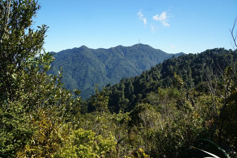 Waiorongomai Pylon Peak Track | motowalknz