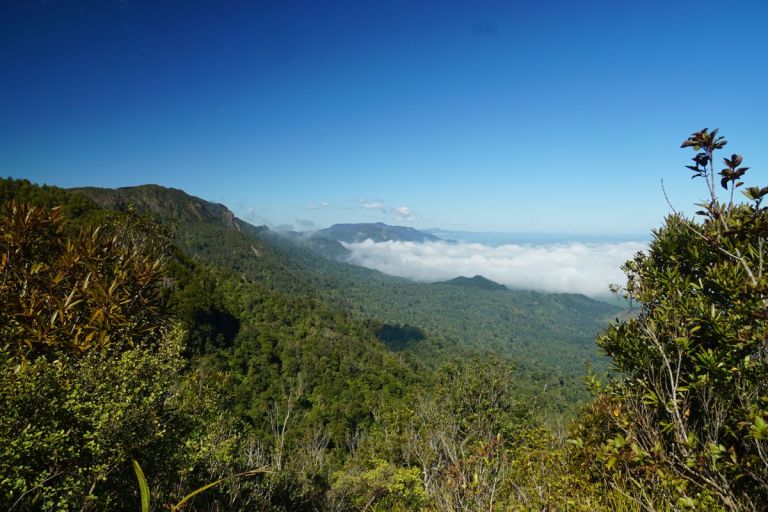 Waiorongomai Pylon Peak Track | motowalknz