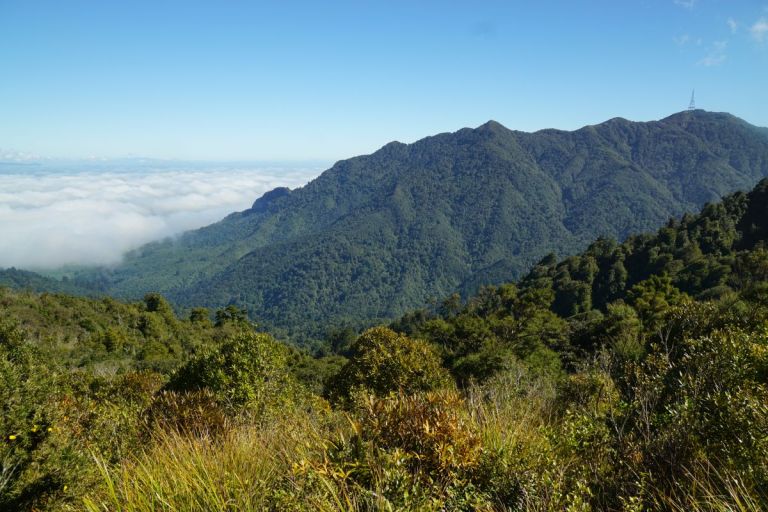 Waiorongomai Pylon Peak Track | motowalknz