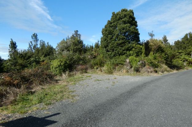 Kaharoa Kokako Track | motowalknz