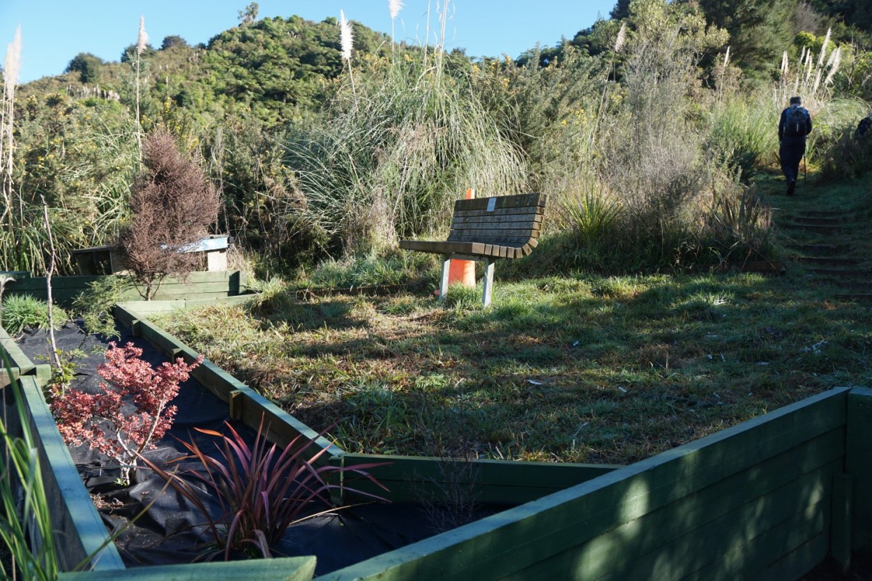 Taupiri Mountain Summit | motowalknz