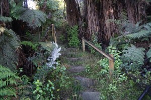 Taupiri Mountain Summit | motowalknz