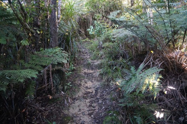 Taupiri Mountain Summit | motowalknz