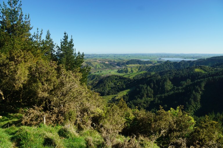Taupiri Mountain Summit | motowalknz