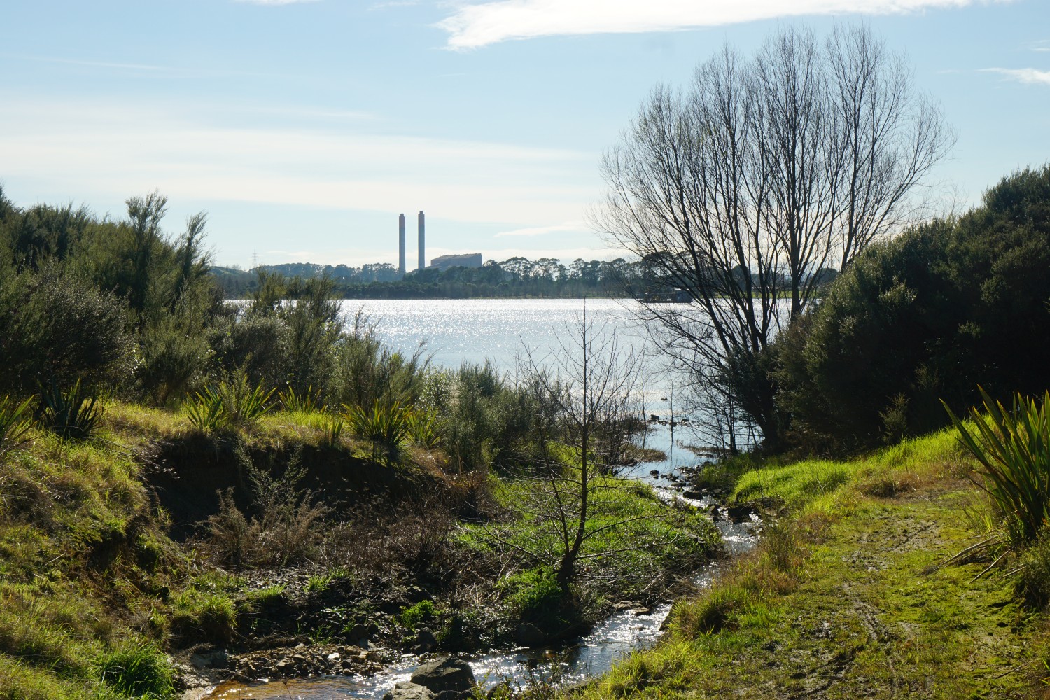 Lake Puketirini, Huntly | motowalknz