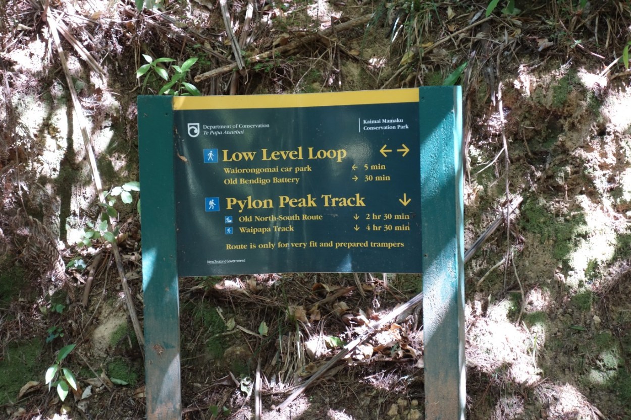 Waiorongomai Pylon Peak Track | motowalknz